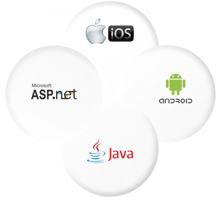 Our Insights – Emsyne Technologies Private Limited